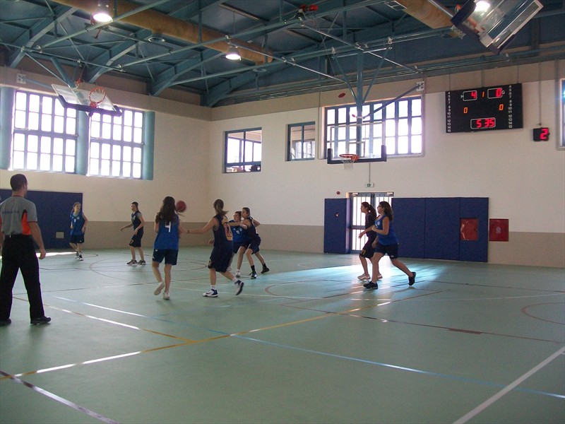 Η ΕΡΑΣΜΕΙΟΣ ΕΛΛΗΝΟΓΕΡΜΑΝΙΚΗ ΣΧΟΛΗ ΔΙΟΡΓΑΝΩΝΕΙ ΤΟΥΣ ΑΓΩΝΕΣ ...