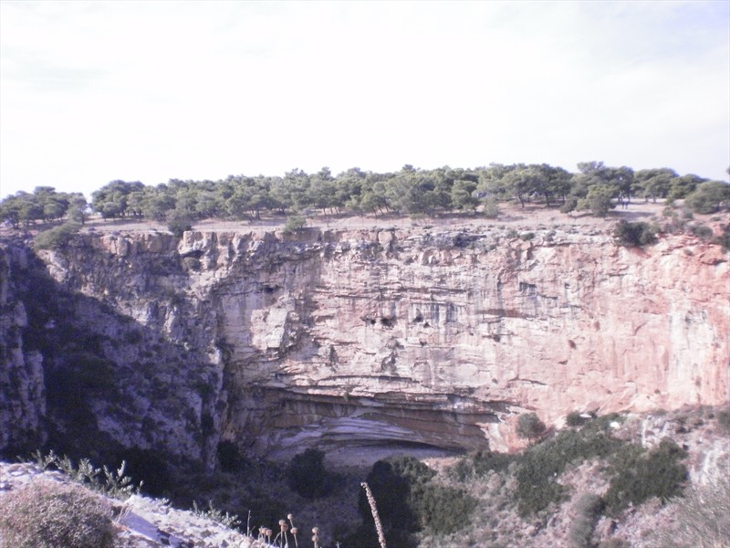 ΤΟ ΔΑΣΟΣ ΕΧΕΙ ΤΗ ΔΙΚΗ ΤΟΥ ΙΣΤΟΡΙΑ - Εράσμειος